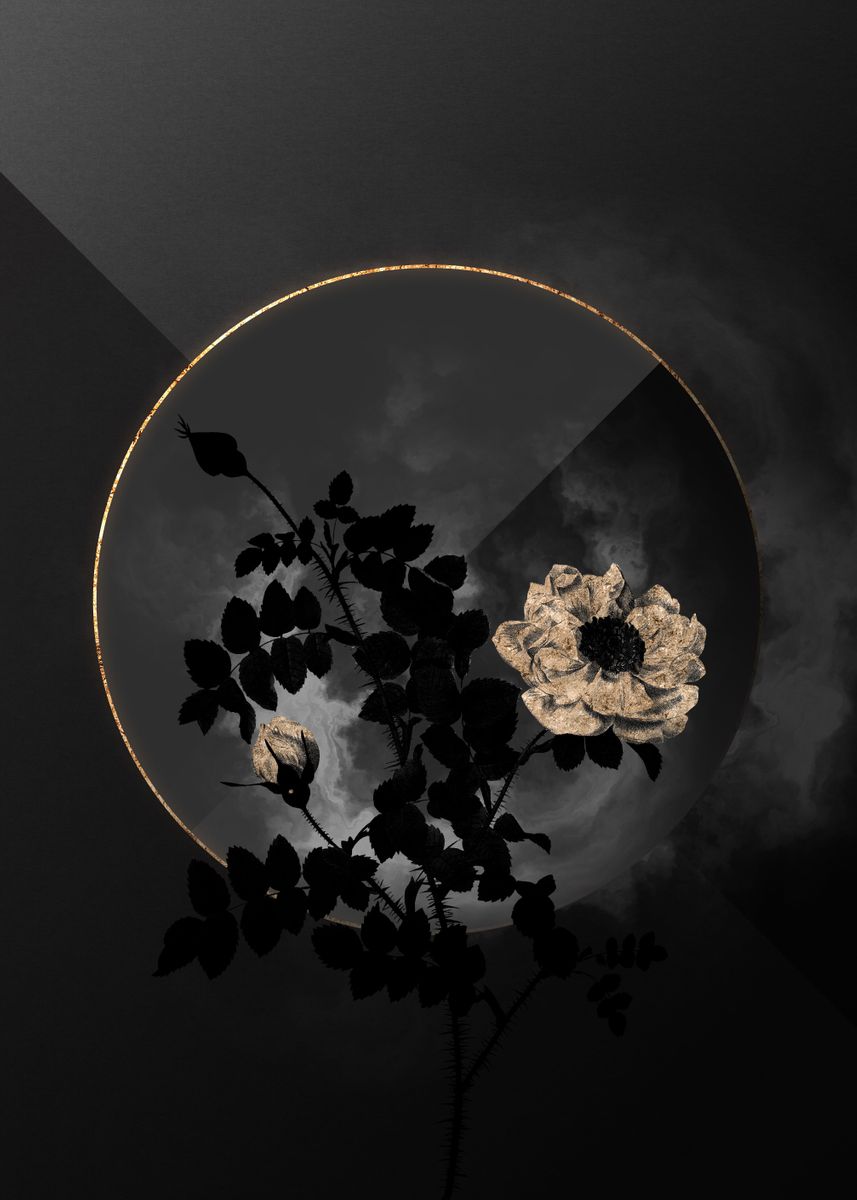 'Shadow Rose Black and Gold' Poster by Holy Rock Design | Displate