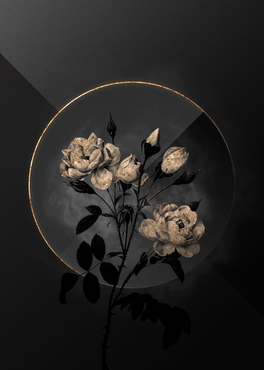 'Shadow Rose Black and Gold' Poster, picture, metal print, paint by ...