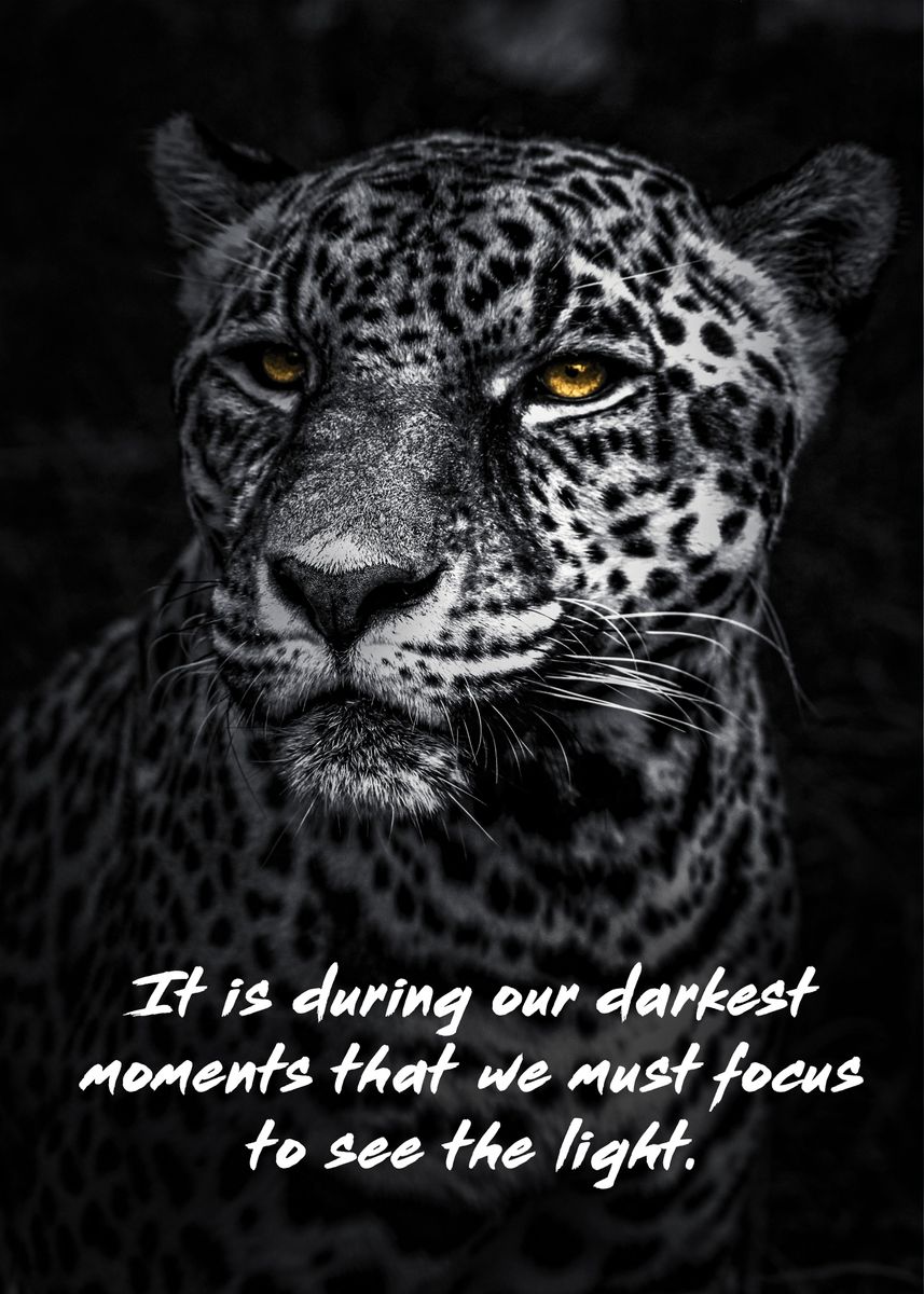 'Leopard quote artwork' Poster, picture, metal print, paint by Edgars ...
