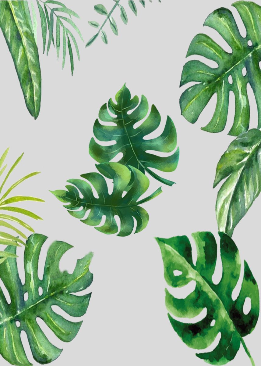 'Tropical leaves leaf plant' Poster, picture, metal print, paint by Max ...