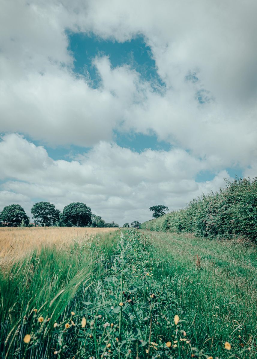 'Pathway' Poster, picture, metal print, paint by Tomcwillmott | Displate