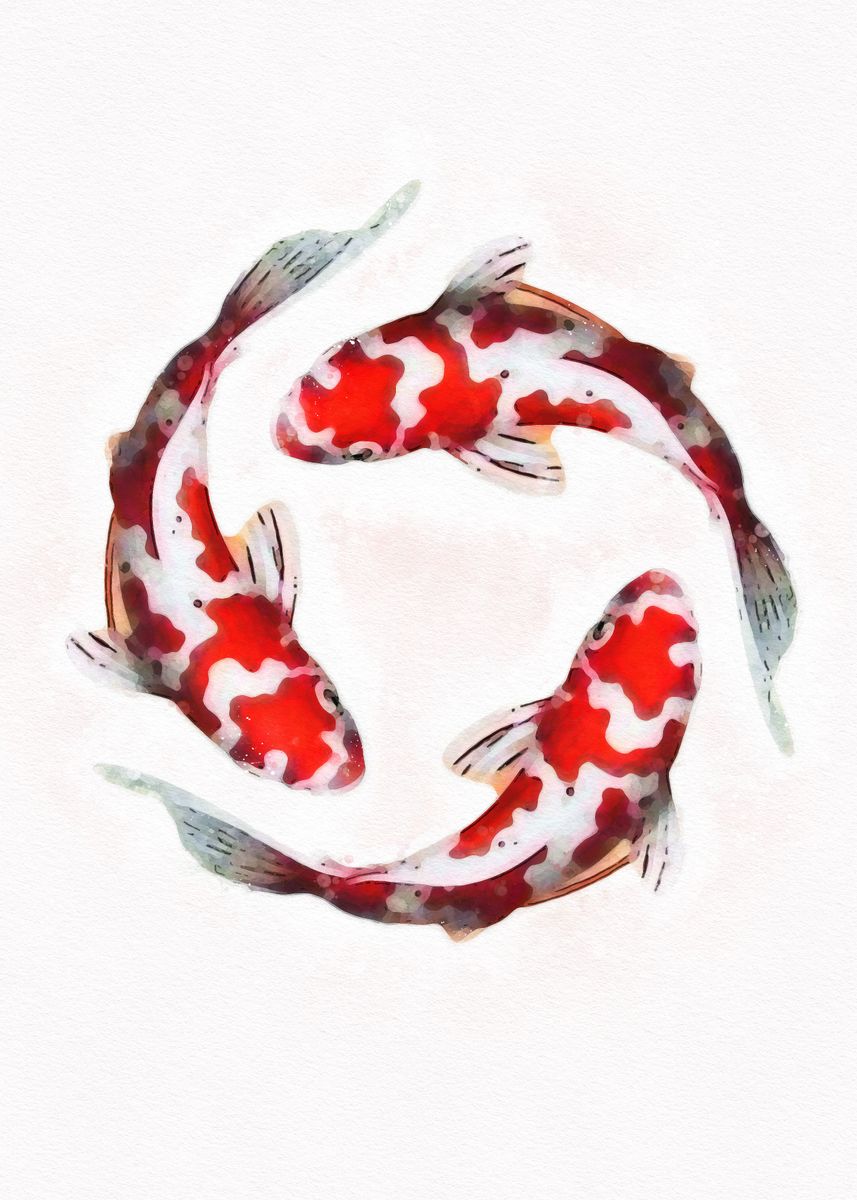 'Three Koi Fish Artwork' Poster, picture, metal print, paint by ...