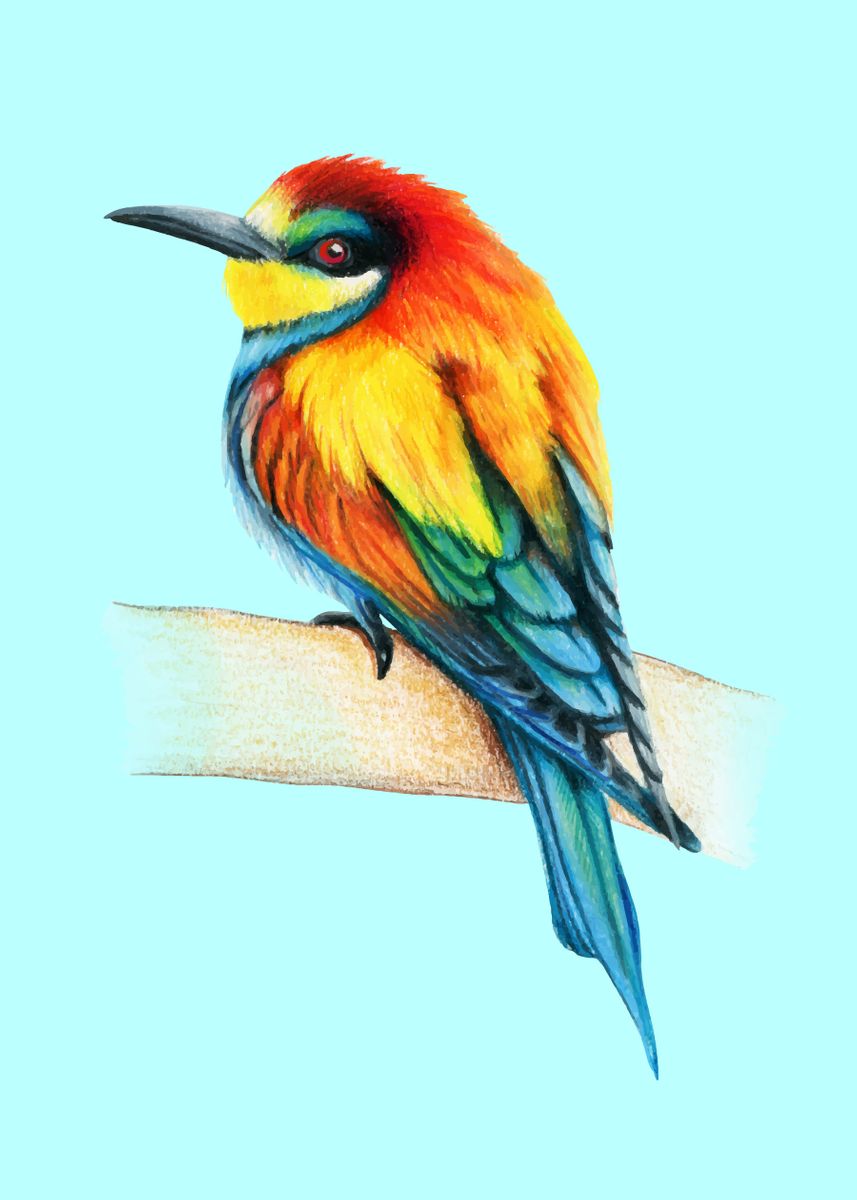 'Bee eater ' Poster, picture, metal print, paint by Queensy Collin ...