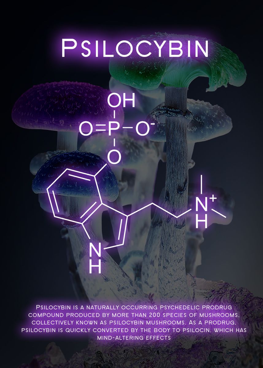 'Psilocybin Molecule' Poster, picture, metal print, paint by Edgars ...