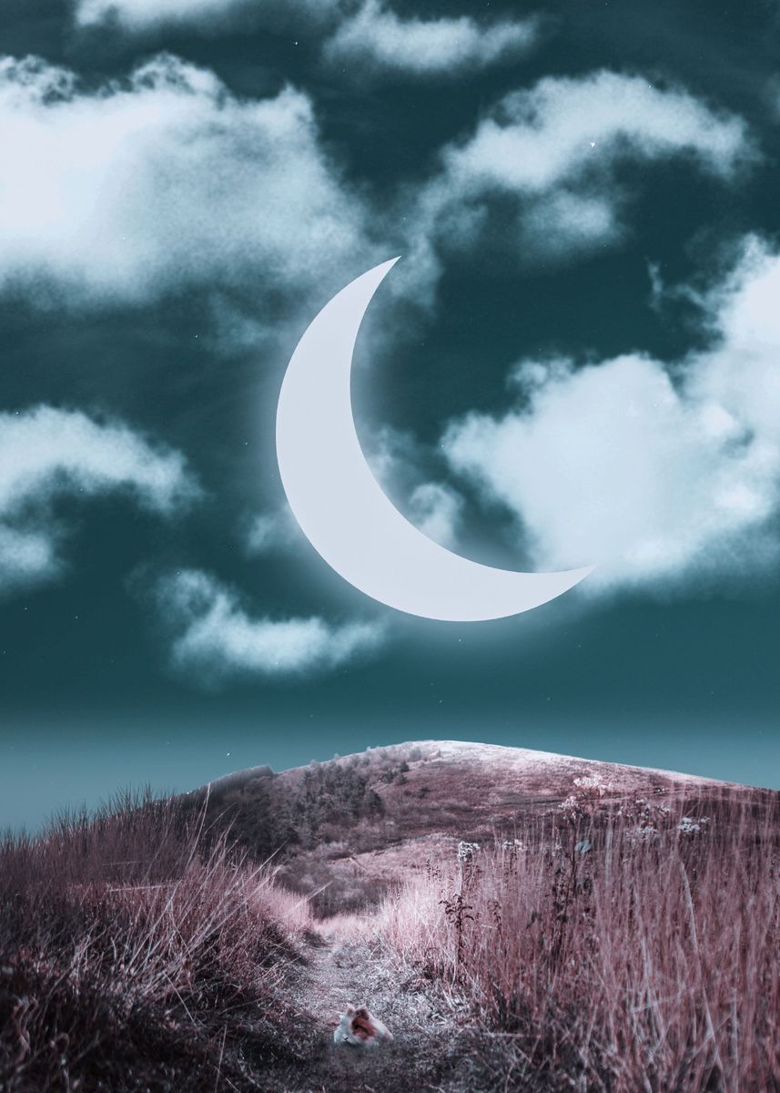 'Look closely' Poster, picture, metal print, paint by Lukas Lii | Displate