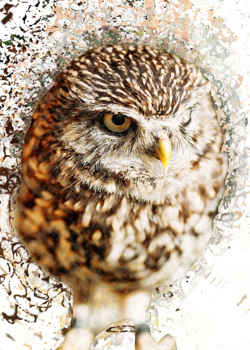 'Amplify Baby Owl' Poster, picture, metal print, paint by Brendon ...