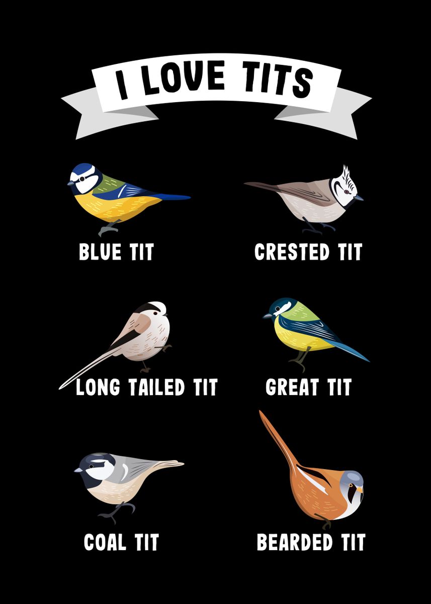 'Funny bird watching' Poster, picture, metal print, paint by Phil ...