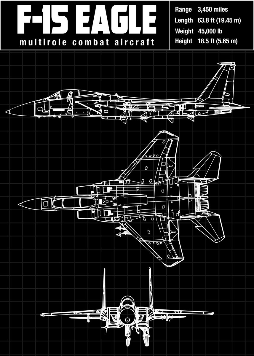 'F15 EAGLE' Poster, picture, metal print, paint by theanomalius | Displate