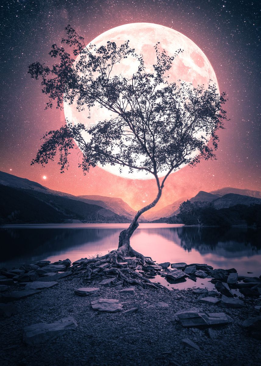 'Tree in moonlight' Poster, picture, metal print, paint by Edgars Zunda ...