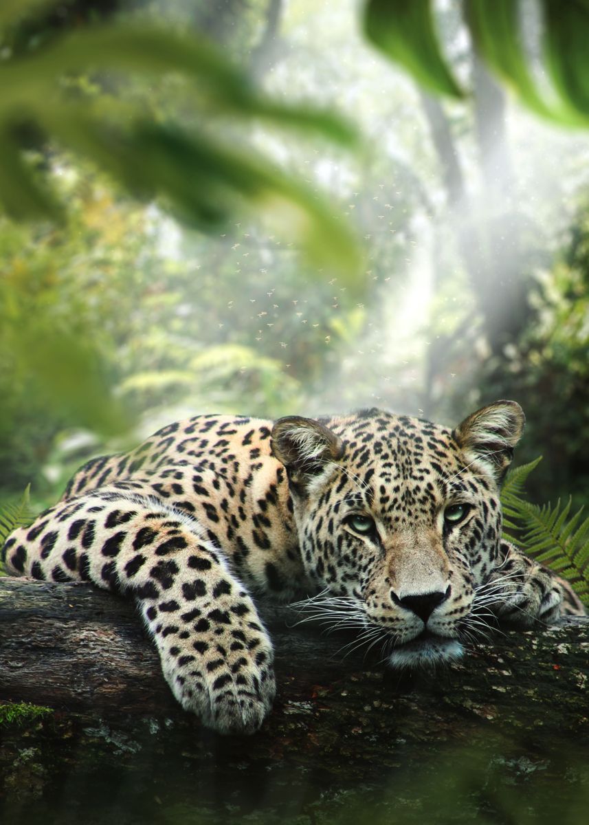 'Jungle Fever' Poster, picture, metal print, paint by Pascal Wagner ...