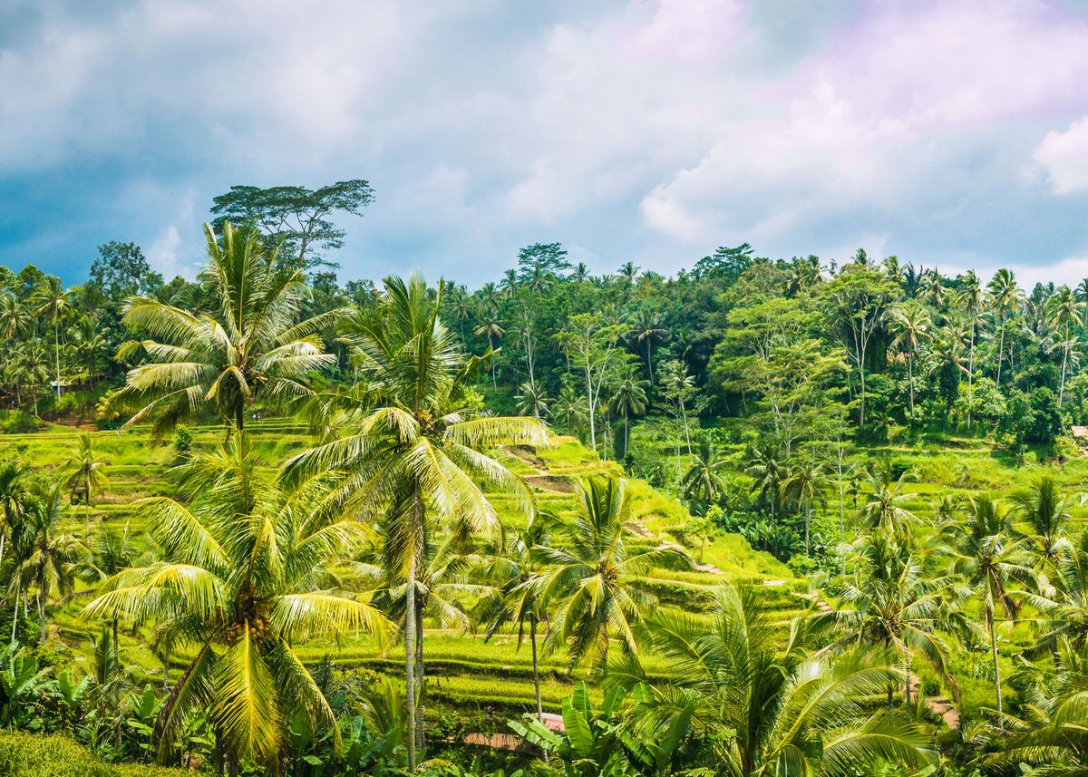 'Wide Shot Of Amazing Tegal' Poster by Noah | Displate