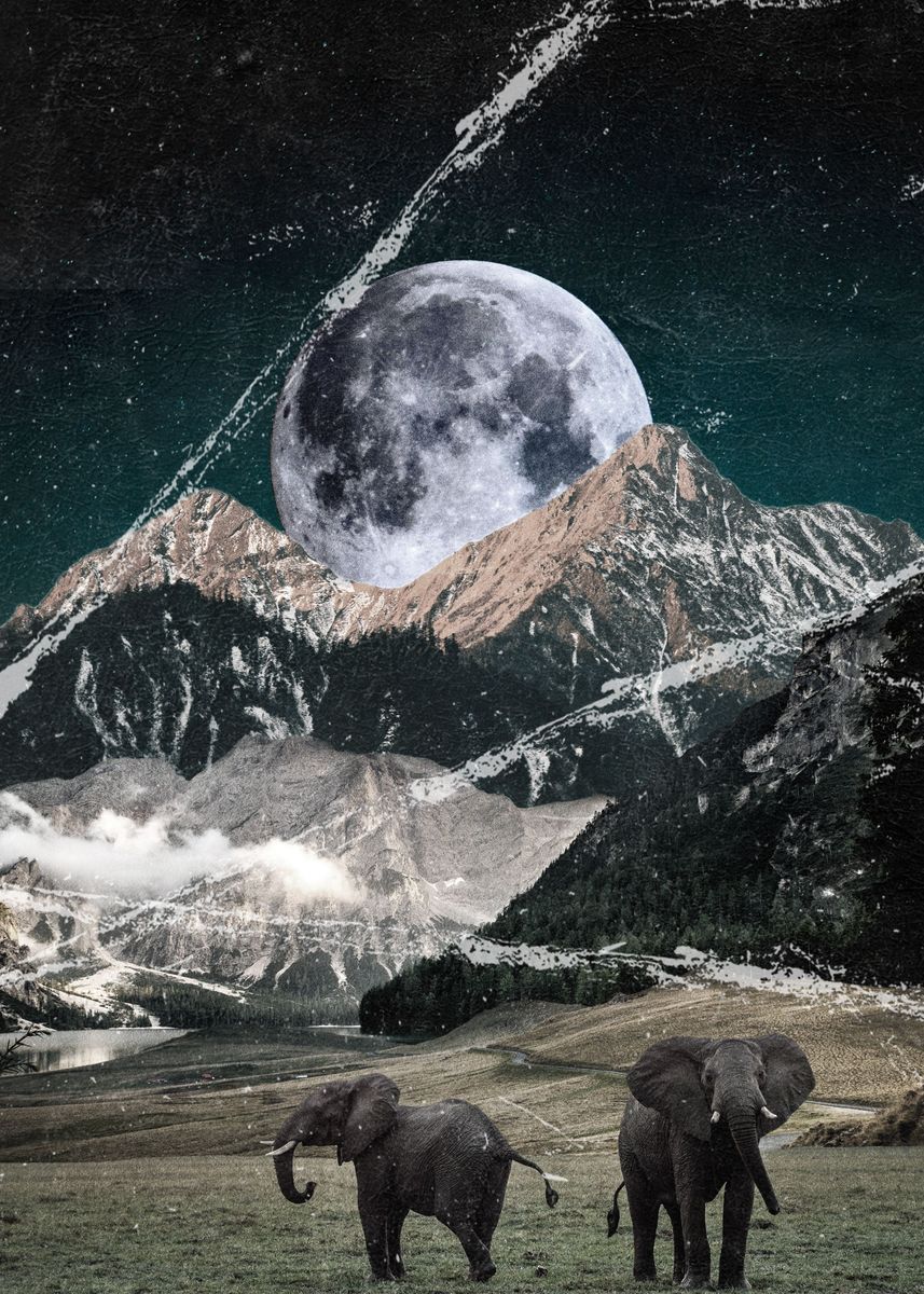 'Two White Elephants' Poster, picture, metal print, paint by Simon ...