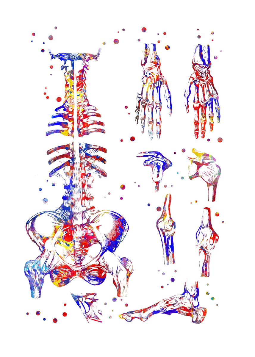 'Human bones ' Poster, picture, metal print, paint by RosaliasArt ...