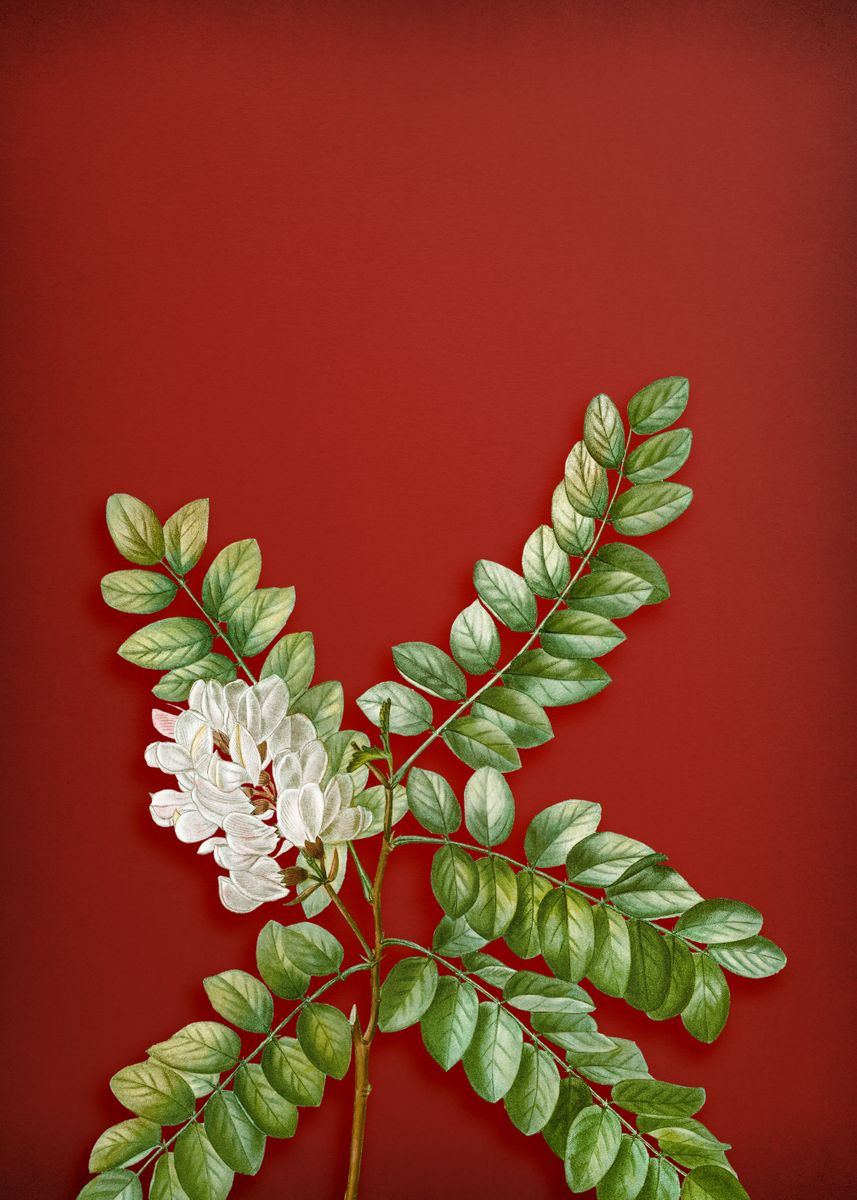 'Clammy Locust' Poster, picture, metal print, paint by Holy Rock Design ...