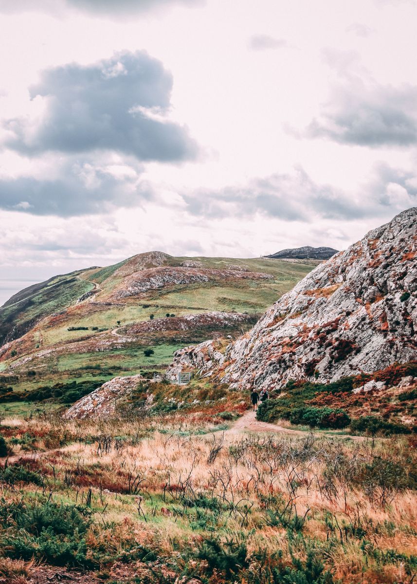 'Bray' Poster by Nick Sanfey | Displate