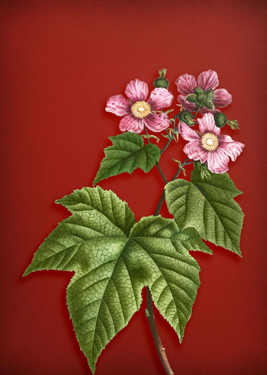 'Purple Raspberry on Red' Poster, picture, metal print, paint by Holy ...