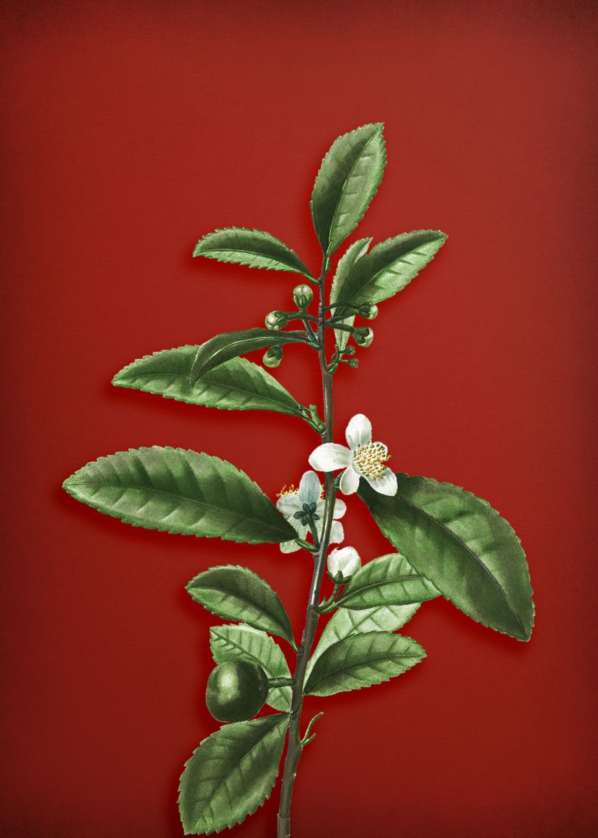 'Tea Tree on Red' Poster, picture, metal print, paint by Holy Rock ...