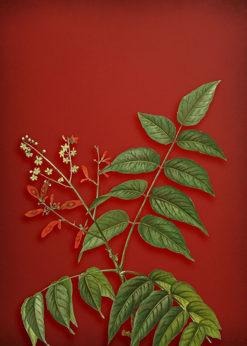 'Tree of Heaven on Red' Poster, picture, metal print, paint by Holy ...