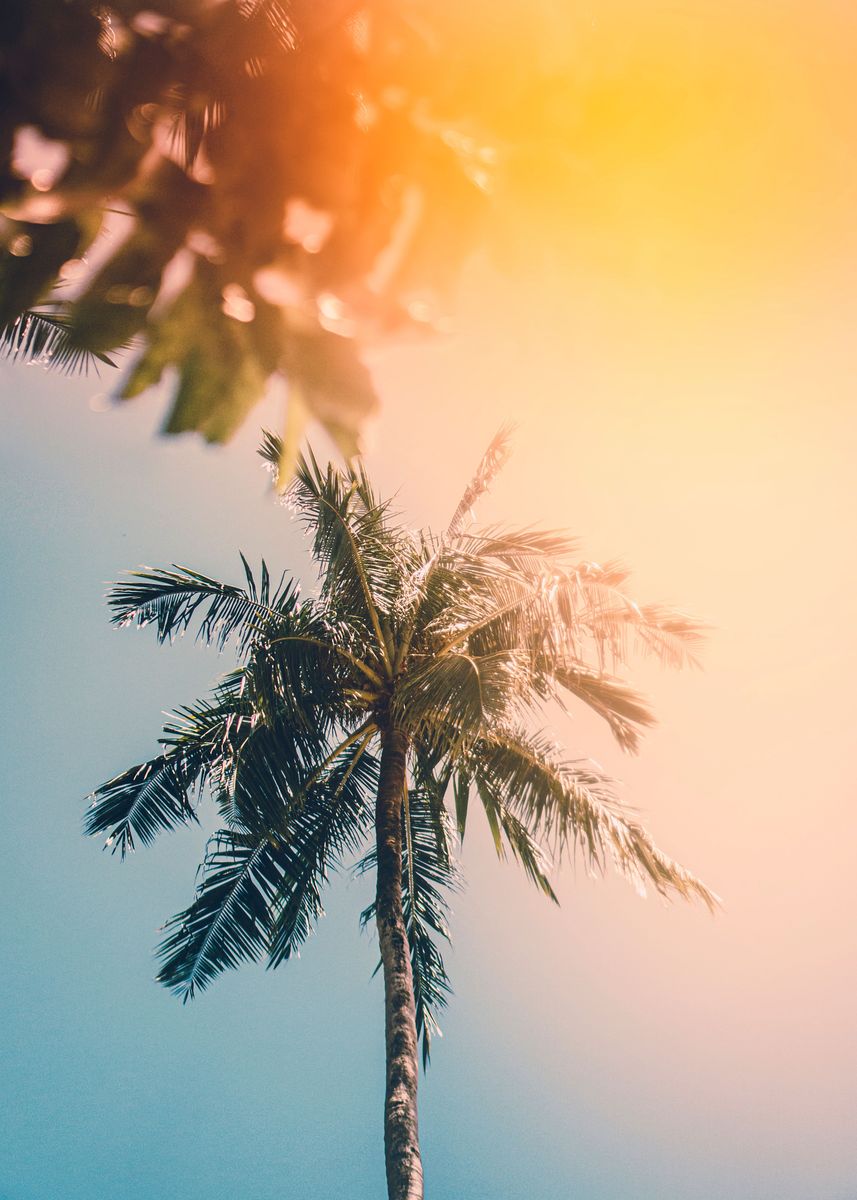 'Palm' Poster, picture, metal print, paint by MCAshe Art | Displate