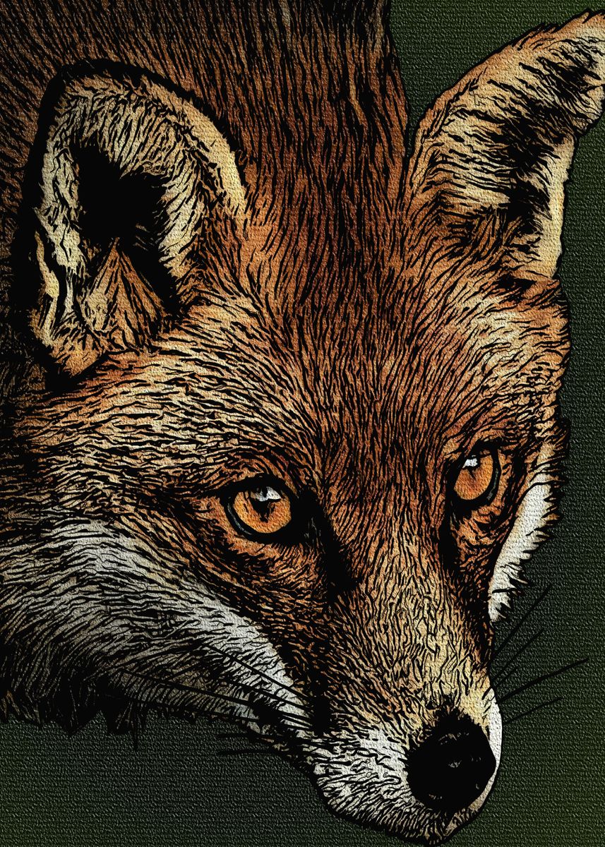 'The Wiley Fox' Poster, picture, metal print, paint by Denise | Displate