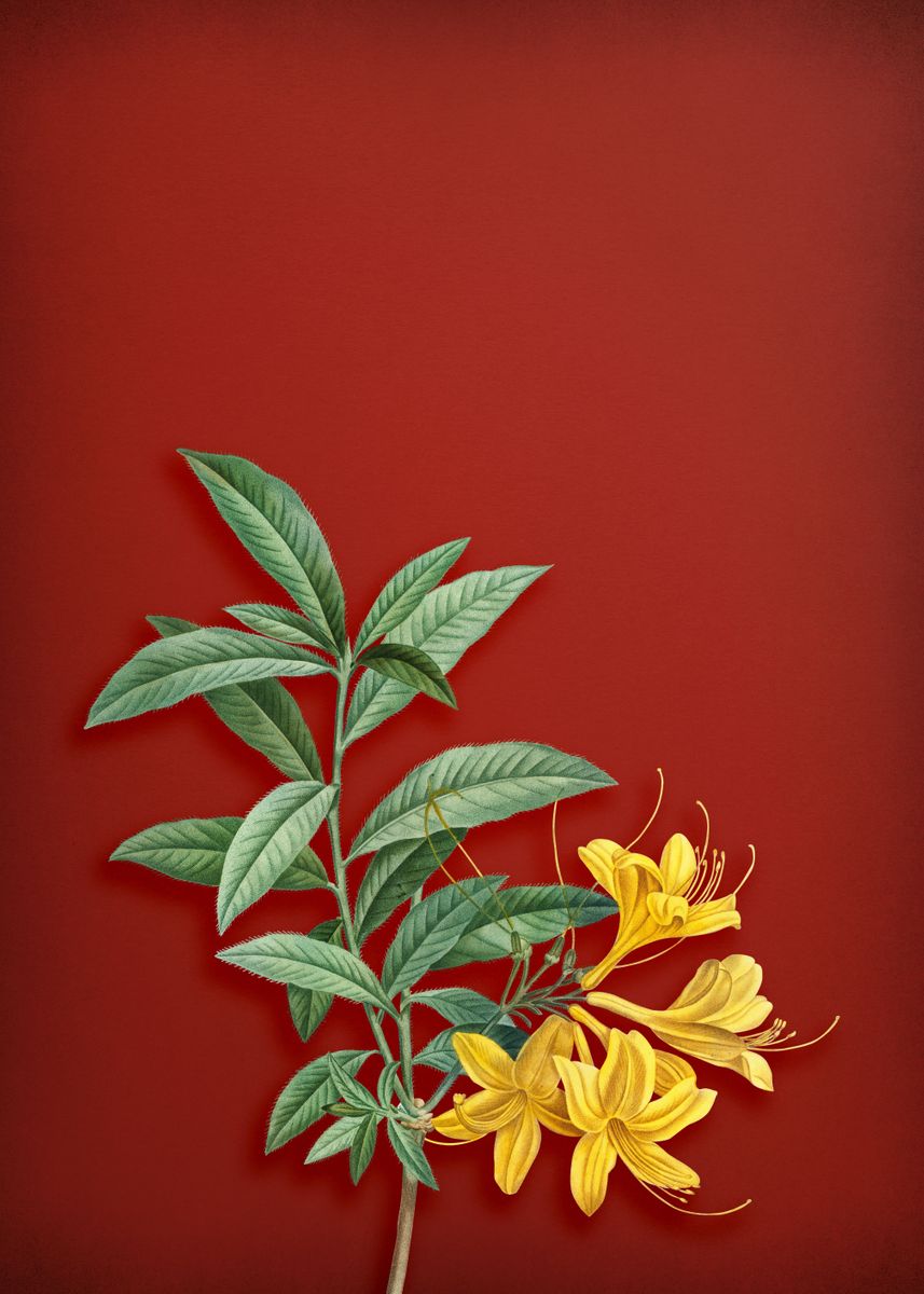 'Yellow Azalea' Poster, picture, metal print, paint by Holy Rock Design ...