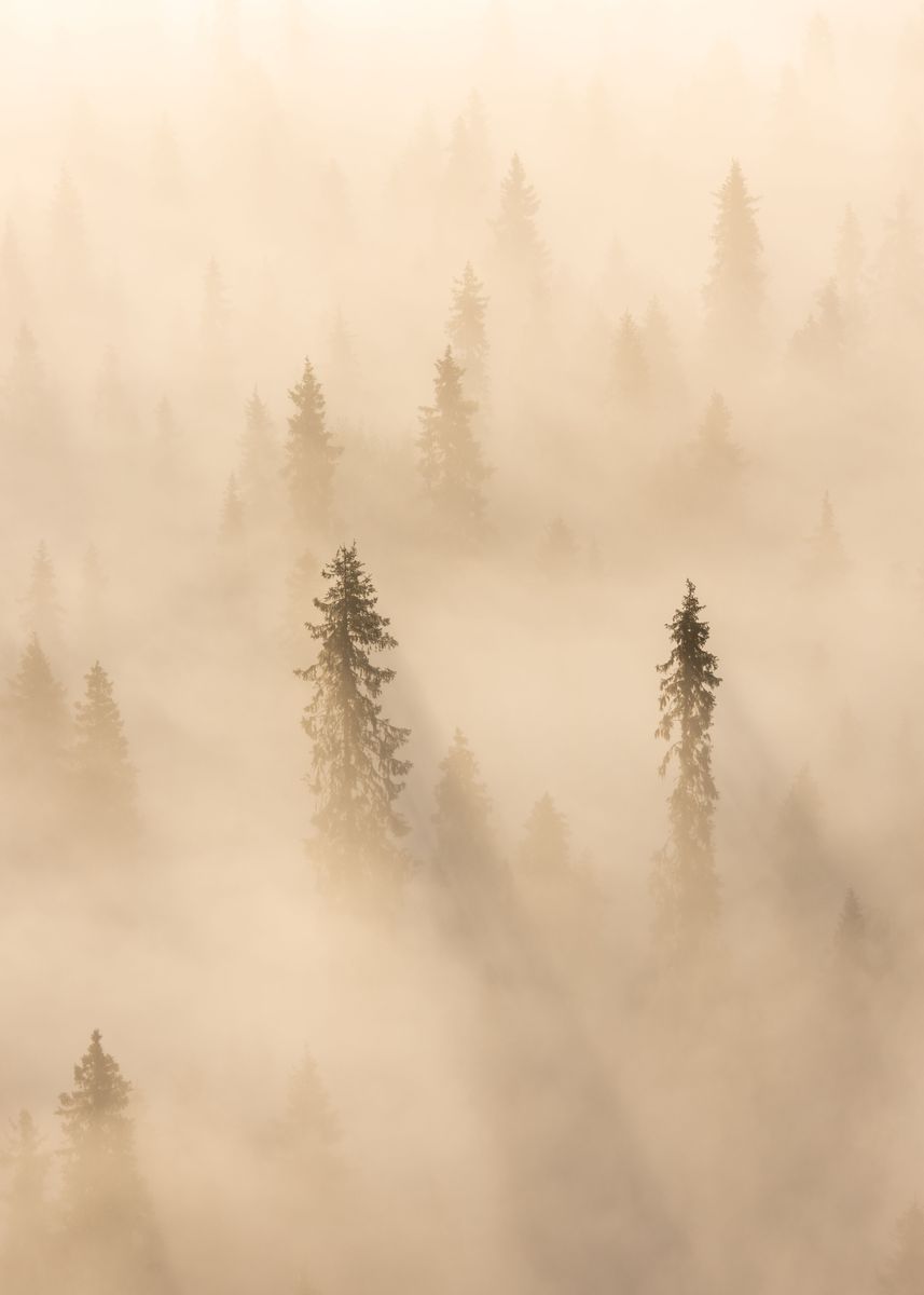 'Into the fog' Poster, picture, metal print, paint by Formatura | Displate