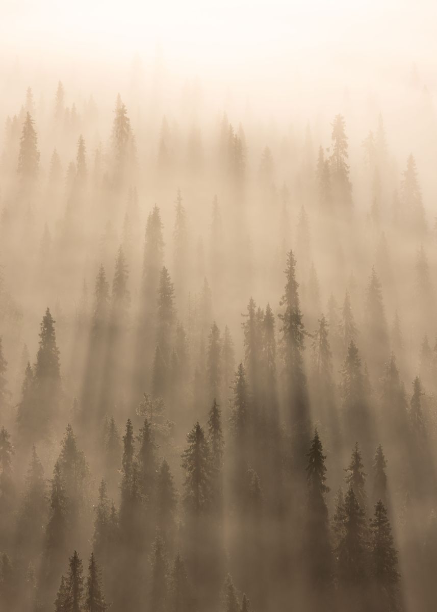 'Into the fog' Poster, picture, metal print, paint by Formatura | Displate