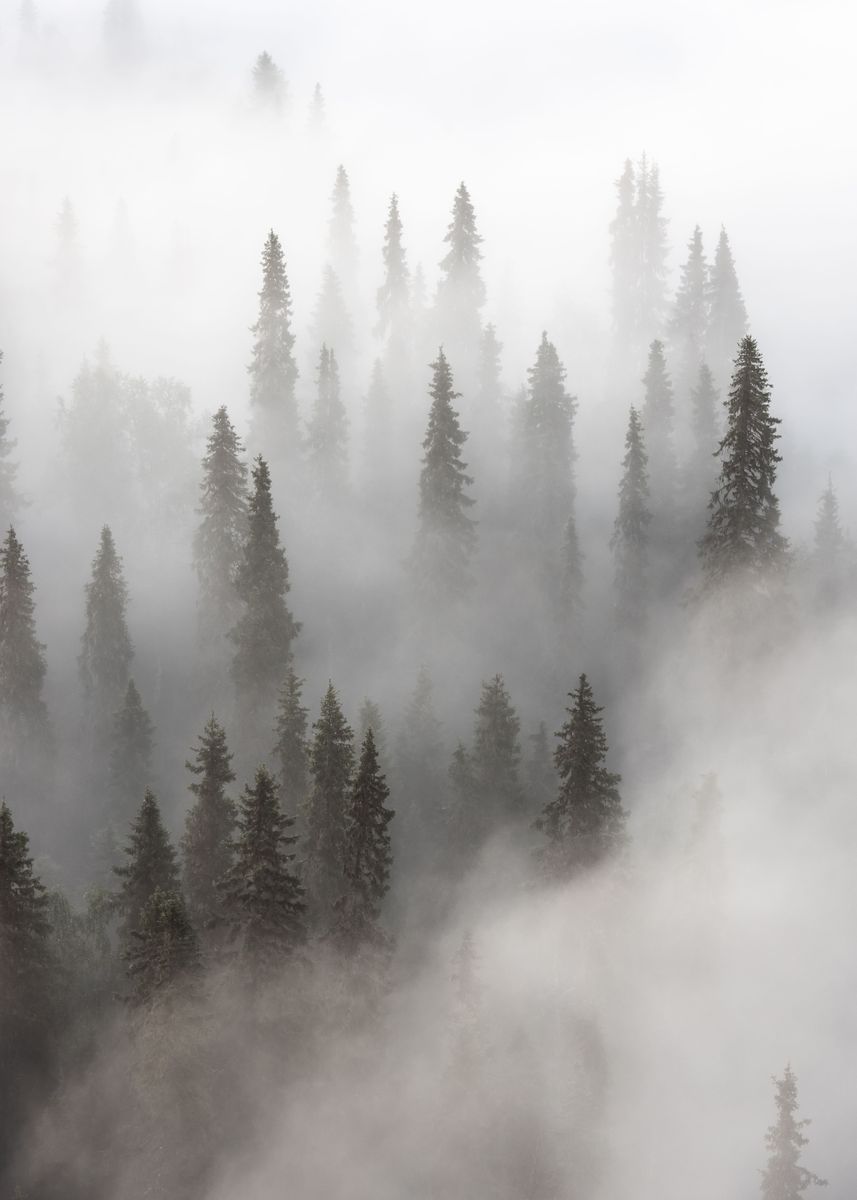 'Into the fog' Poster, picture, metal print, paint by Formatura | Displate