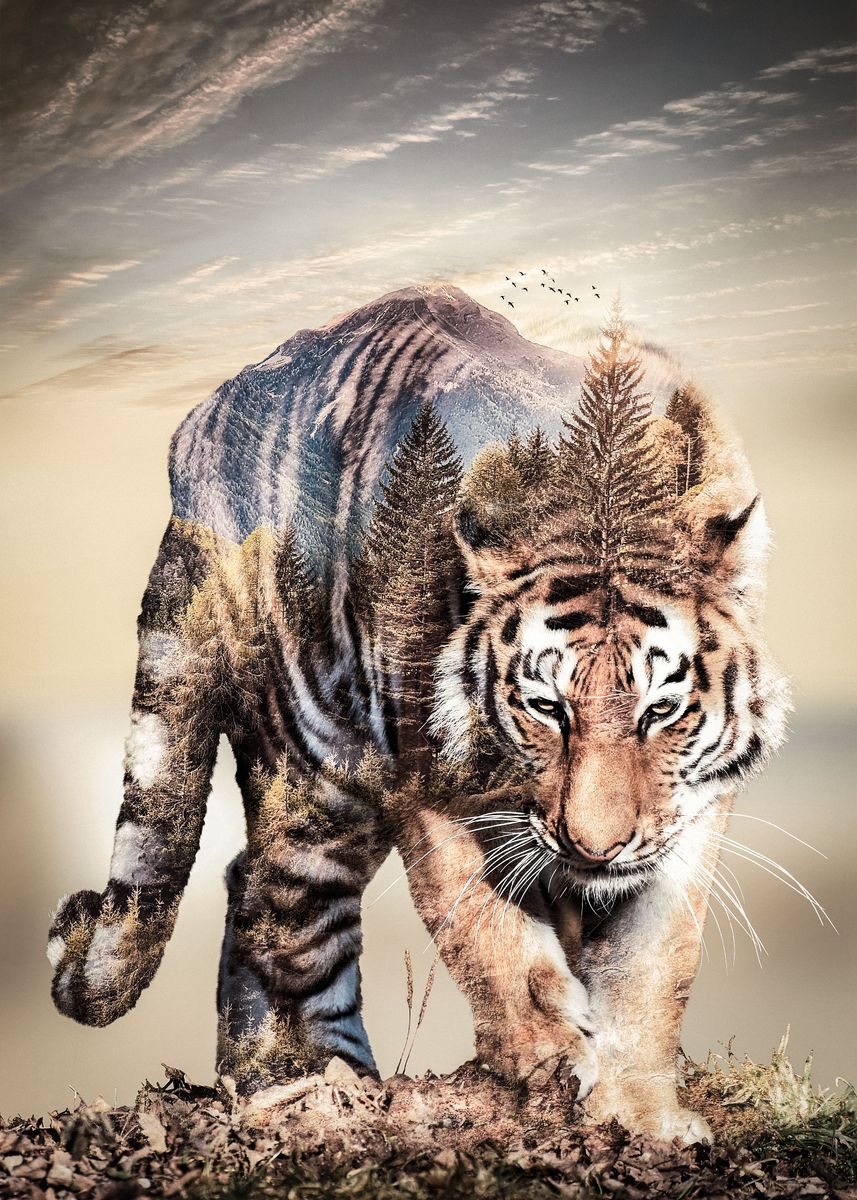 'Tiger' Poster, picture, metal print, paint by Kilo Byte | Displate