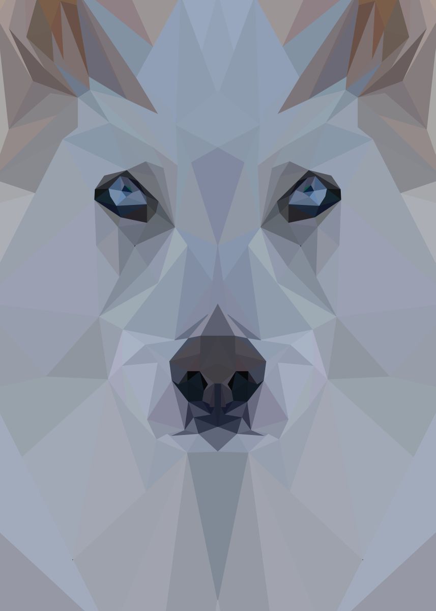 'wolf' Poster, picture, metal print, paint by amar maruf | Displate