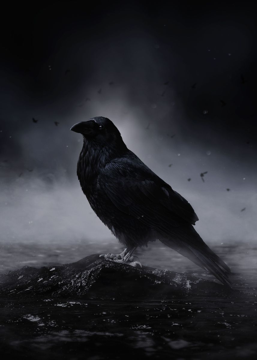 'Raven in the Fog' Poster, picture, metal print, paint by ...
