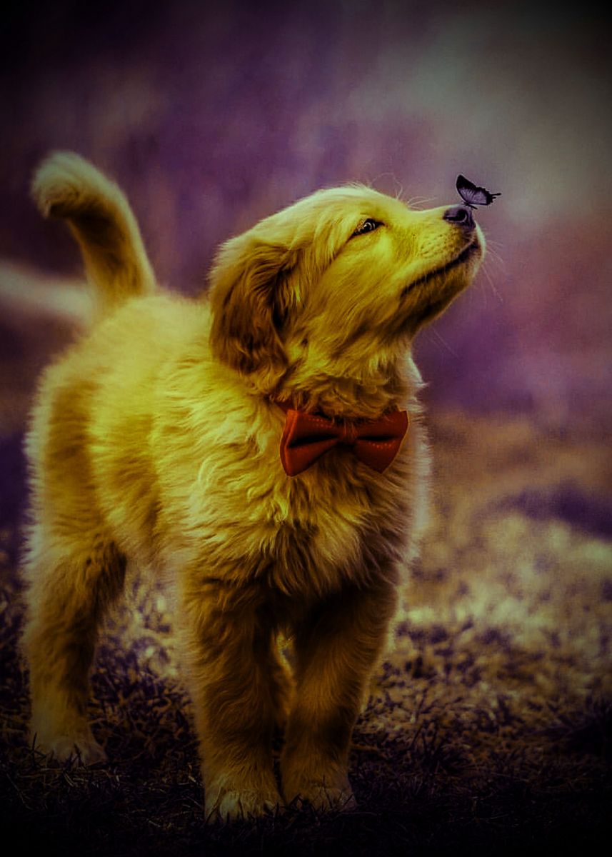 'dog' Poster by iwak ayam | Displate