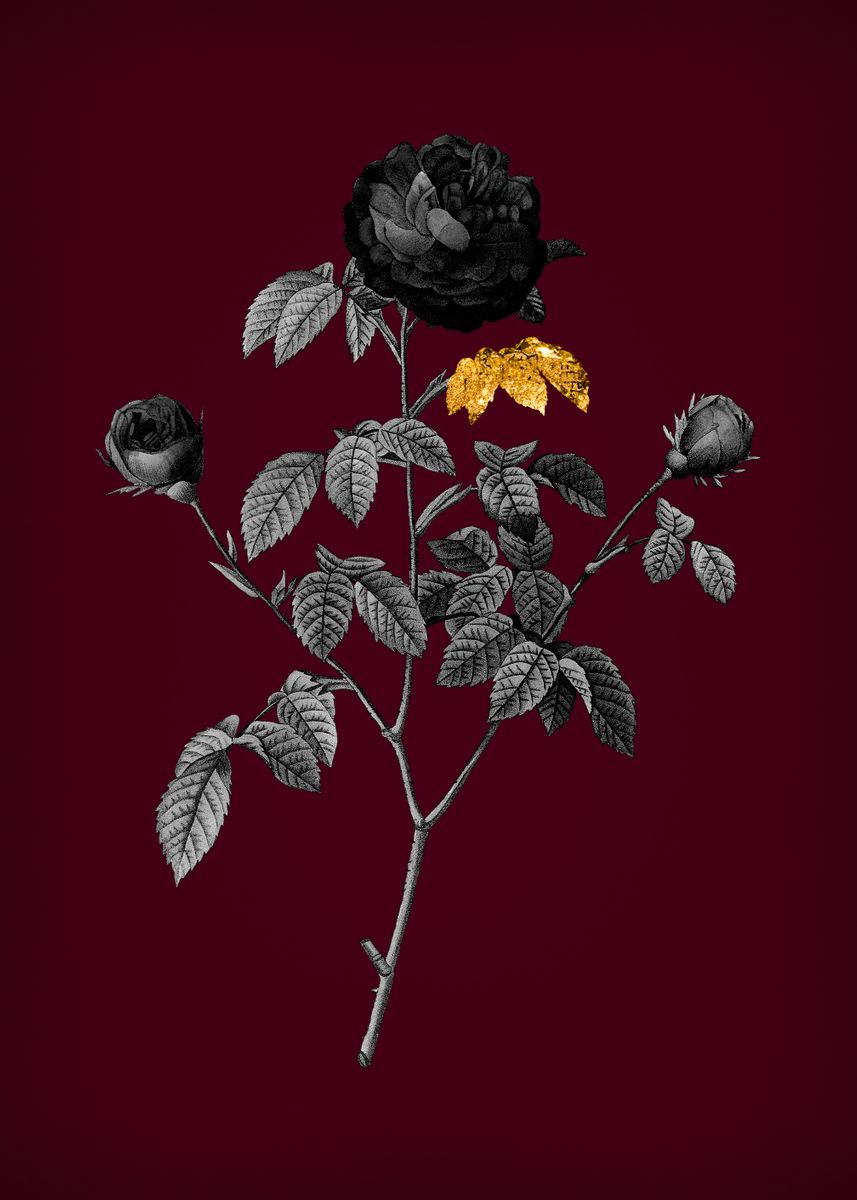 'Agatha Rose' Poster, picture, metal print, paint by Holy Rock Design ...