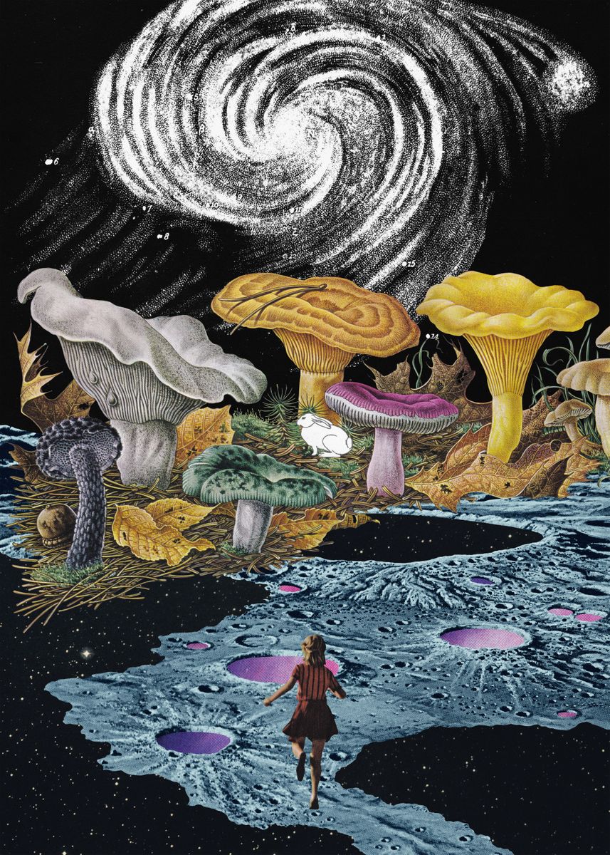 'Follow The White Rabbit' Poster, picture, metal print, paint by Lerson ...