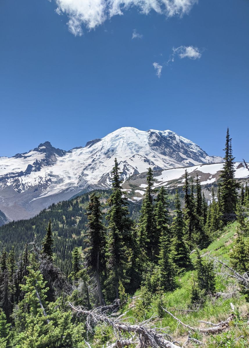 'Mt Rainier in the summer' Poster, picture, metal print, paint by ...