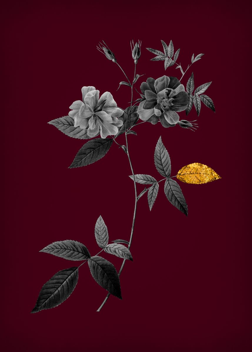 'Hudson Rosehip on Crimson' Poster, picture, metal print, paint by Holy ...