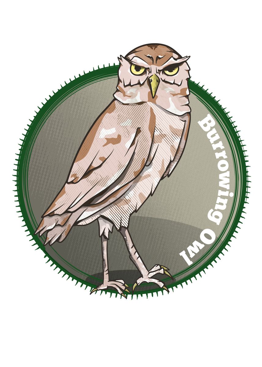 'Burrowing Owl' Poster, picture, metal print, paint by mailbox disco ...