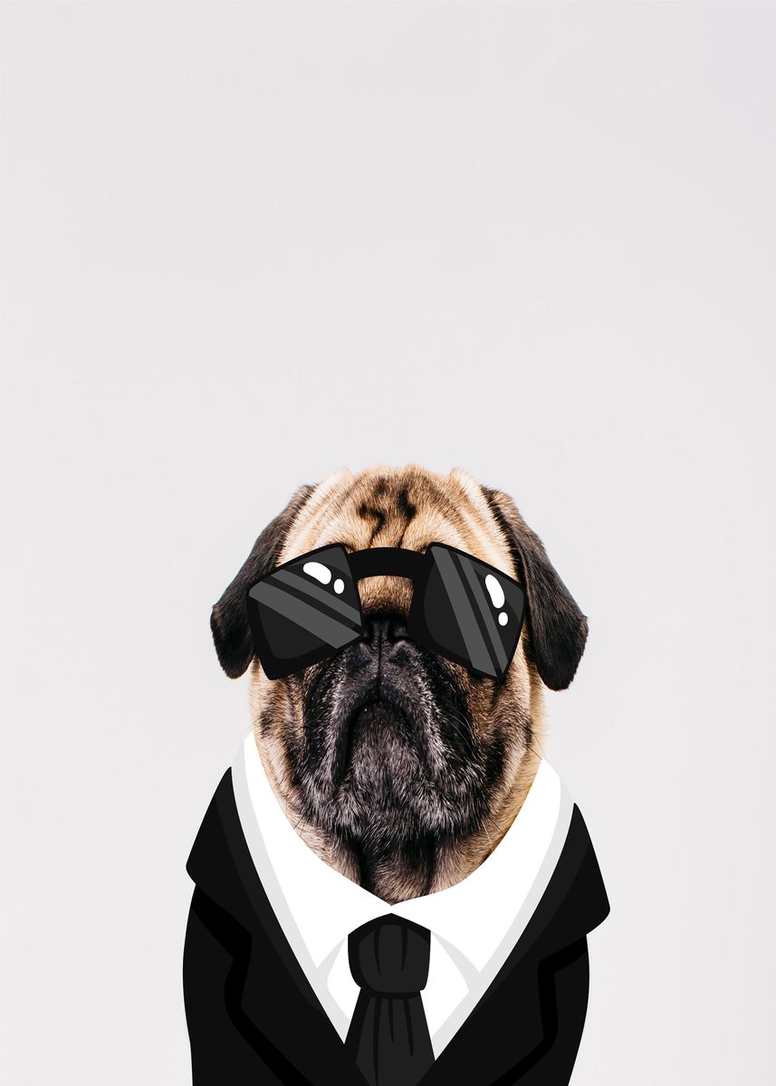 'cool pug' Poster, picture, metal print, paint by Designersen | Displate