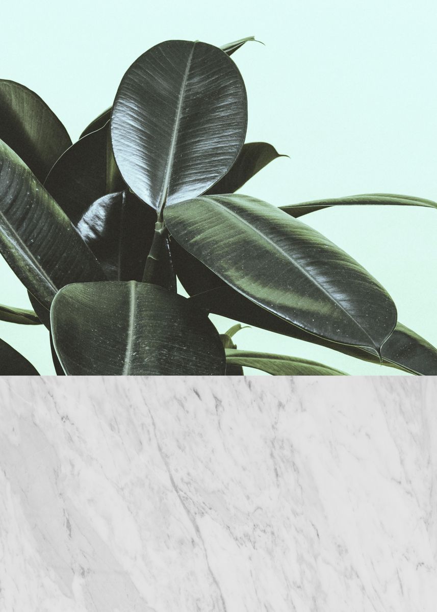 'Botanical composition VIII' Poster, picture, metal print, paint by ...