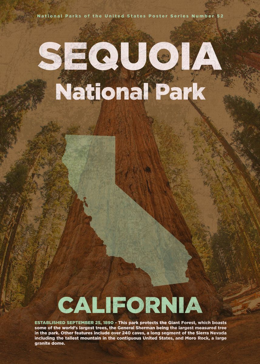 'Sequoia National Park Art' Poster by Design Turnpike | Displate