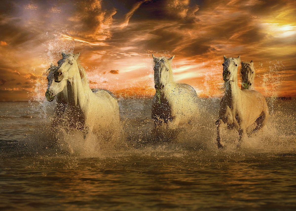 'Horse At Sunset Beach' Poster by Art Shack | Displate