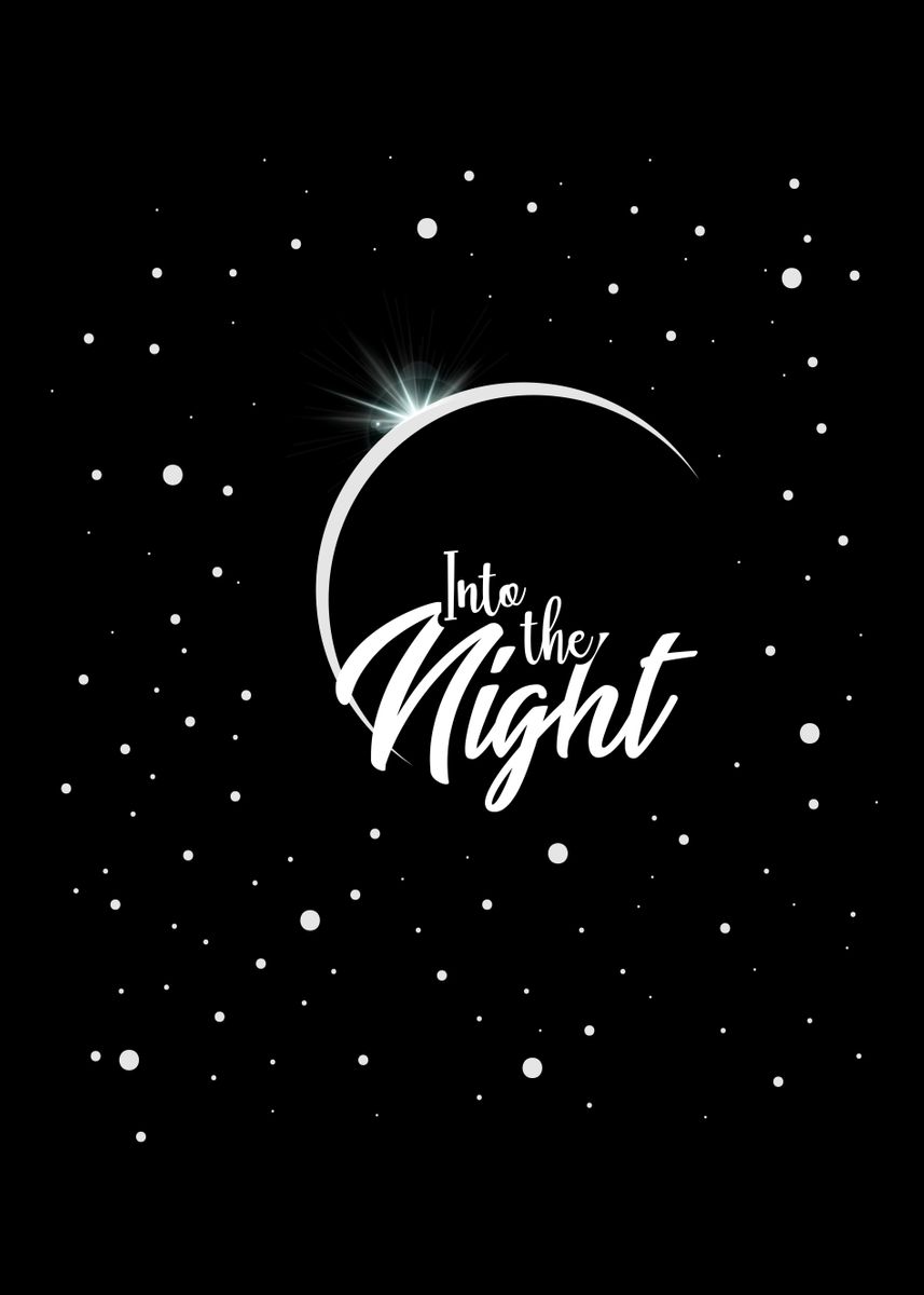 'Into The Night' Poster, picture, metal print, paint by Francois ...