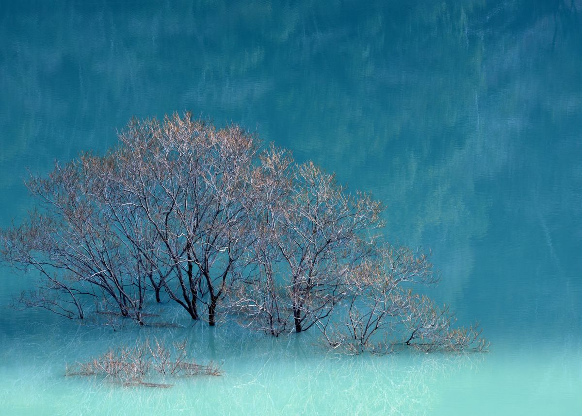 'Blue Lake Reflection' Poster by Art Shack | Displate
