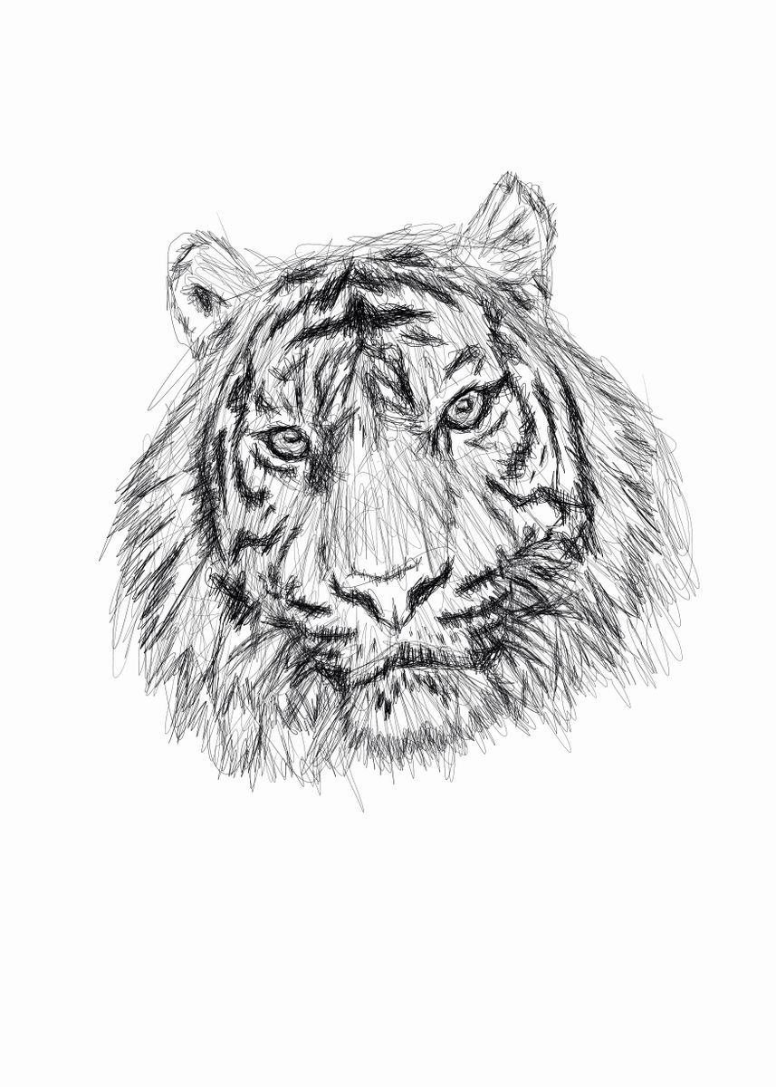 'Tiger Scribble Artwork' Poster, picture, metal print, paint by ...