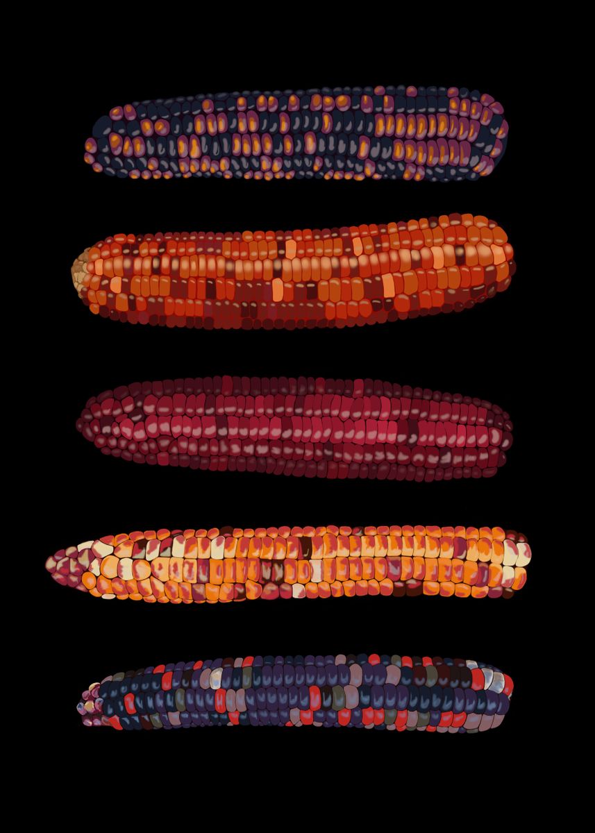 'Ornamental Corn' Poster, picture, metal print, paint by Mieke ...