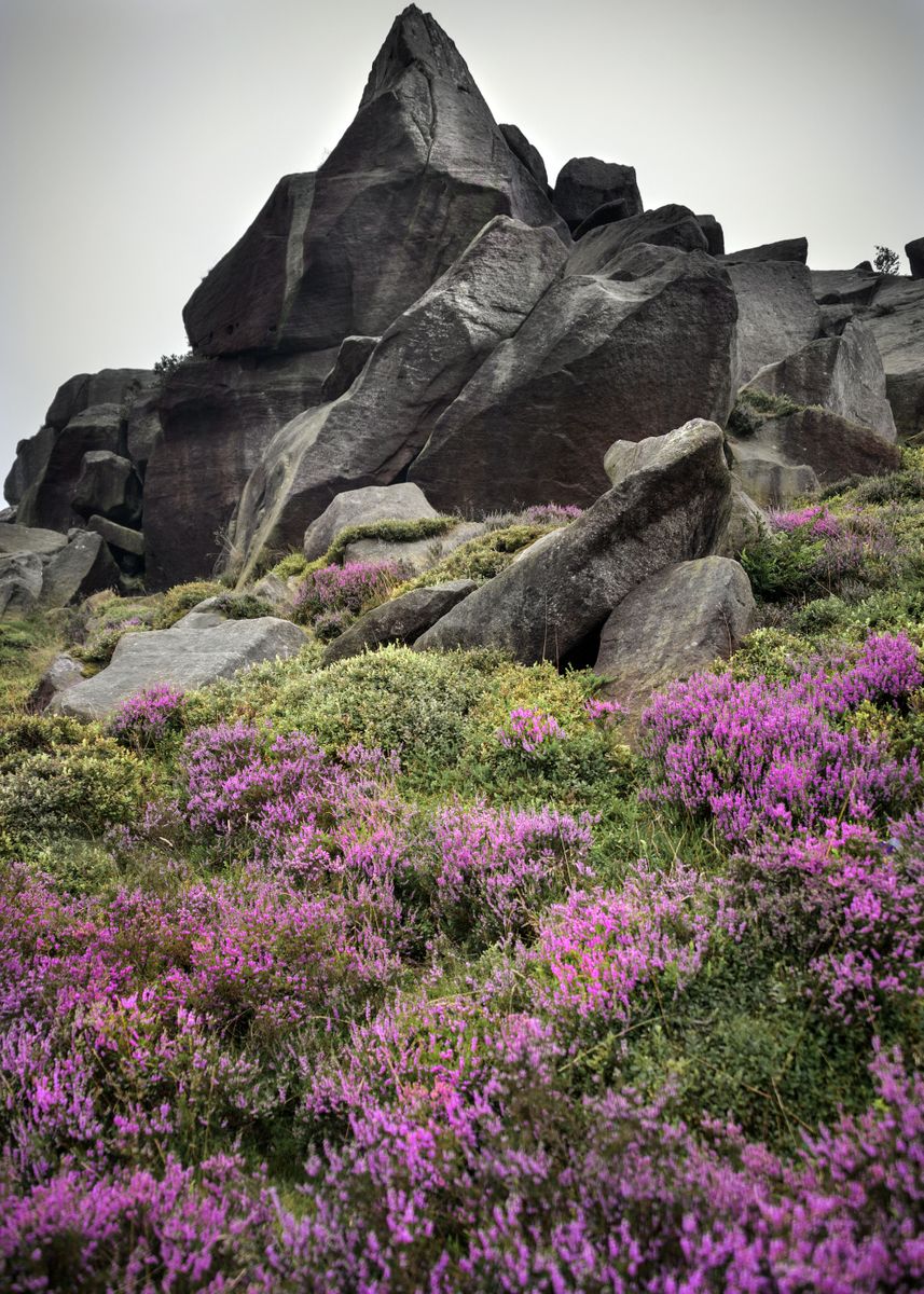 'Ilkley Moor Landscape' Poster, picture, metal print, paint by Svetlana ...