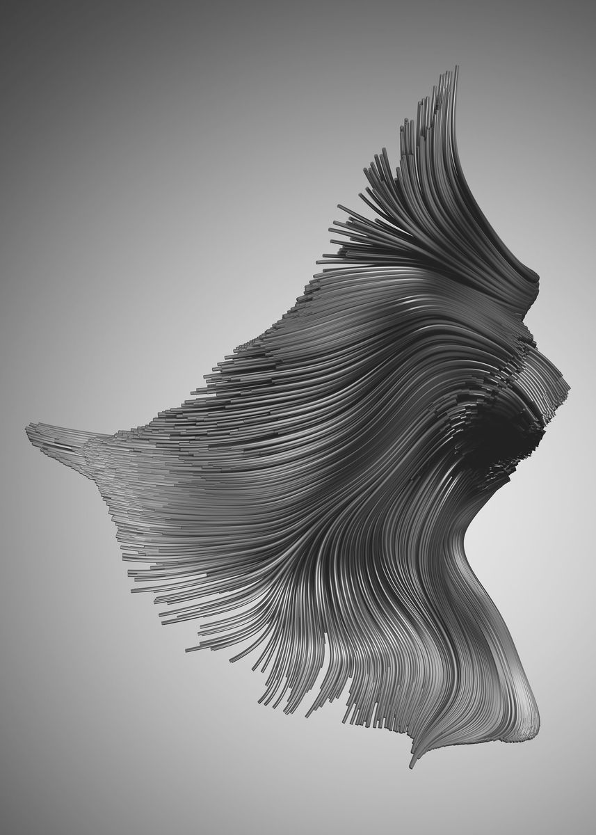 'Chaotic Lines Art 39 BW' Poster by Chaotic Lines | Displate