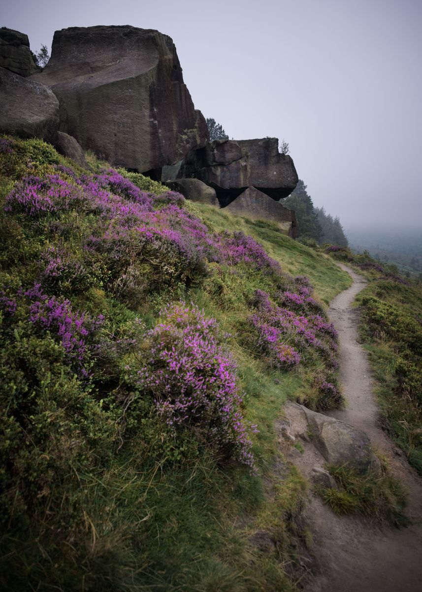 'Ilkley Moor Landscape' Poster, picture, metal print, paint by Svetlana ...