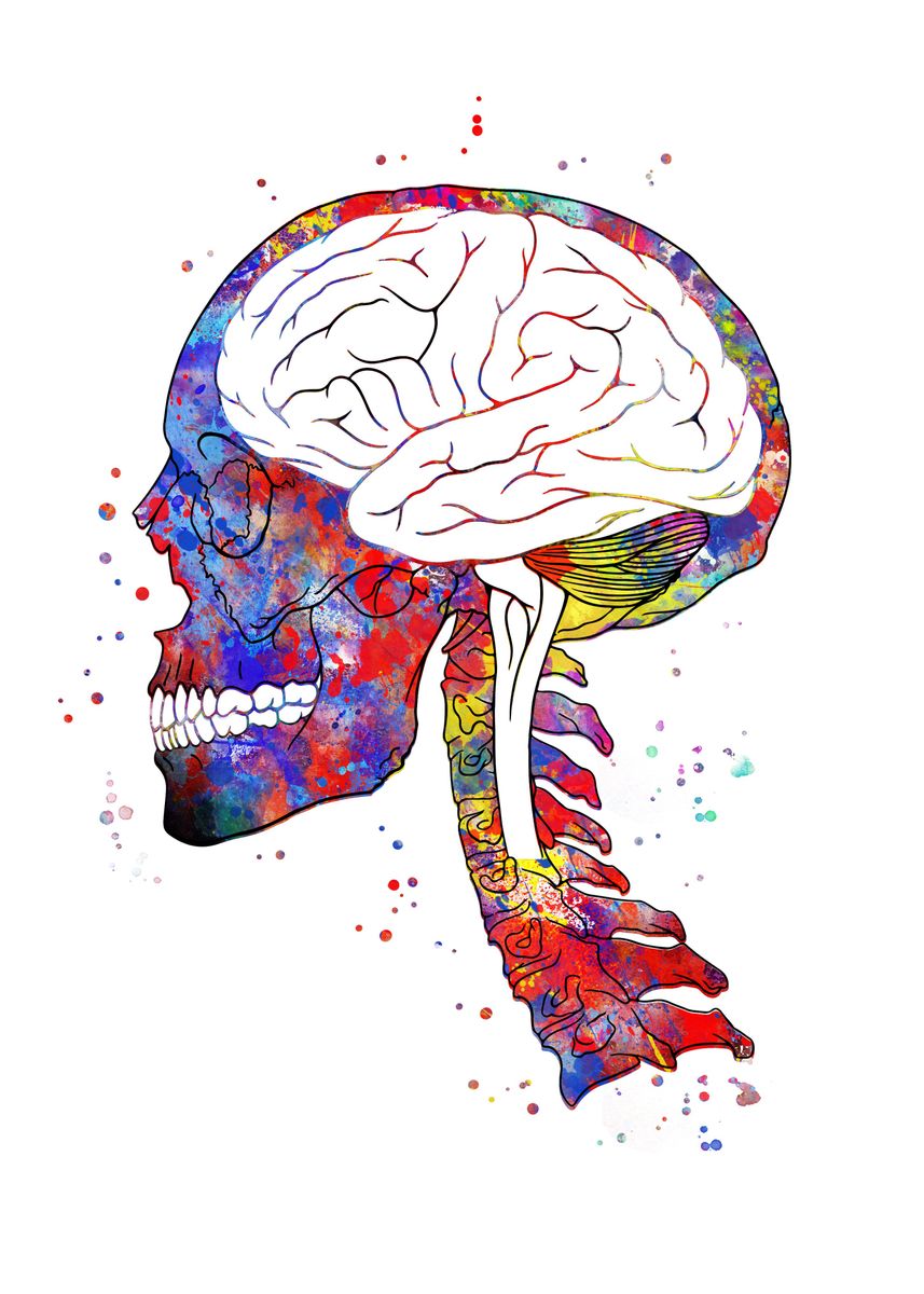 'Skull and brain ' Poster, picture, metal print, paint by RosaliasArt ...