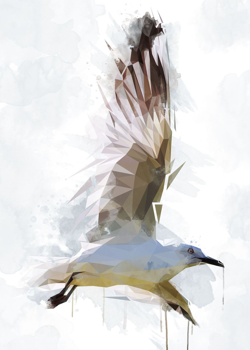'Bird' Poster by Color Work | Displate